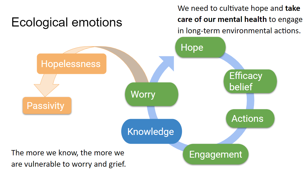 Ecological emotions – Journey through environmental ethics around the globe